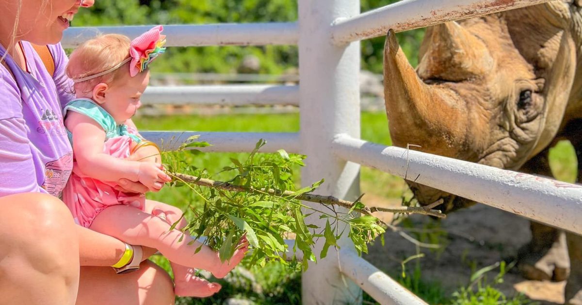 Spend Your Spring Break in Albany, Georgia | Visit Albany, Georgia