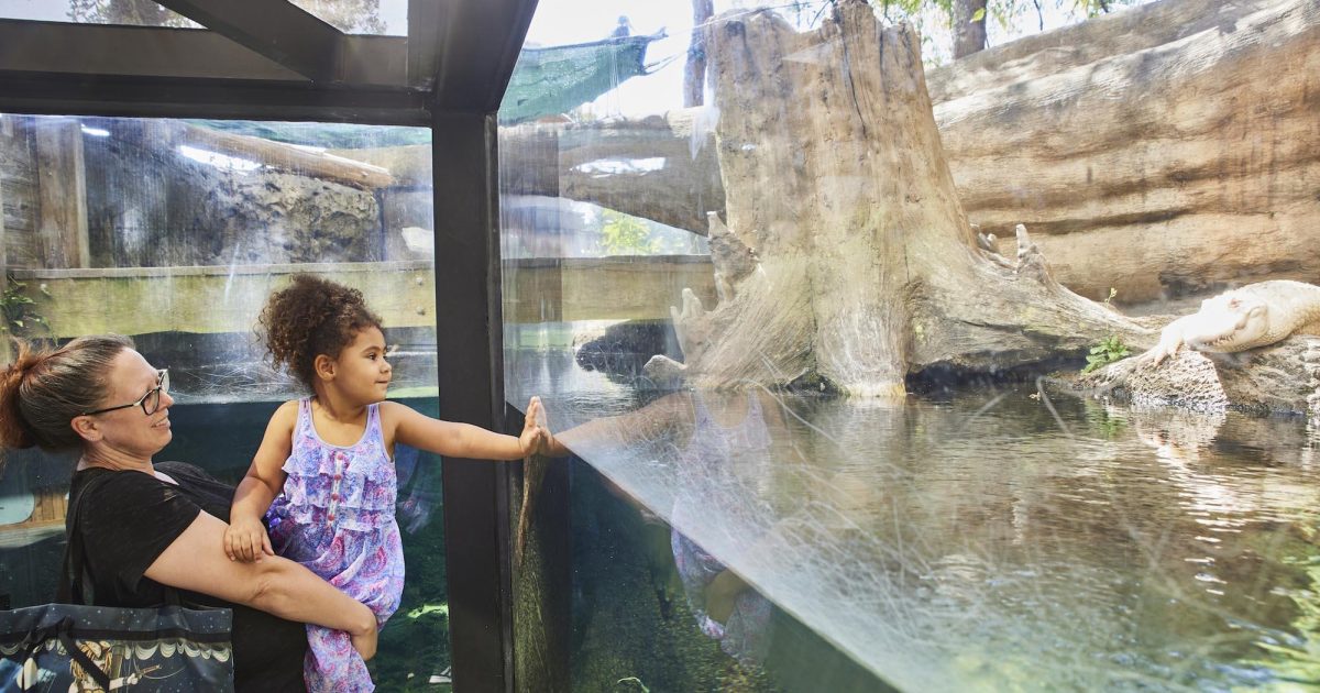 Contact Us | Visit Albany, Georgia