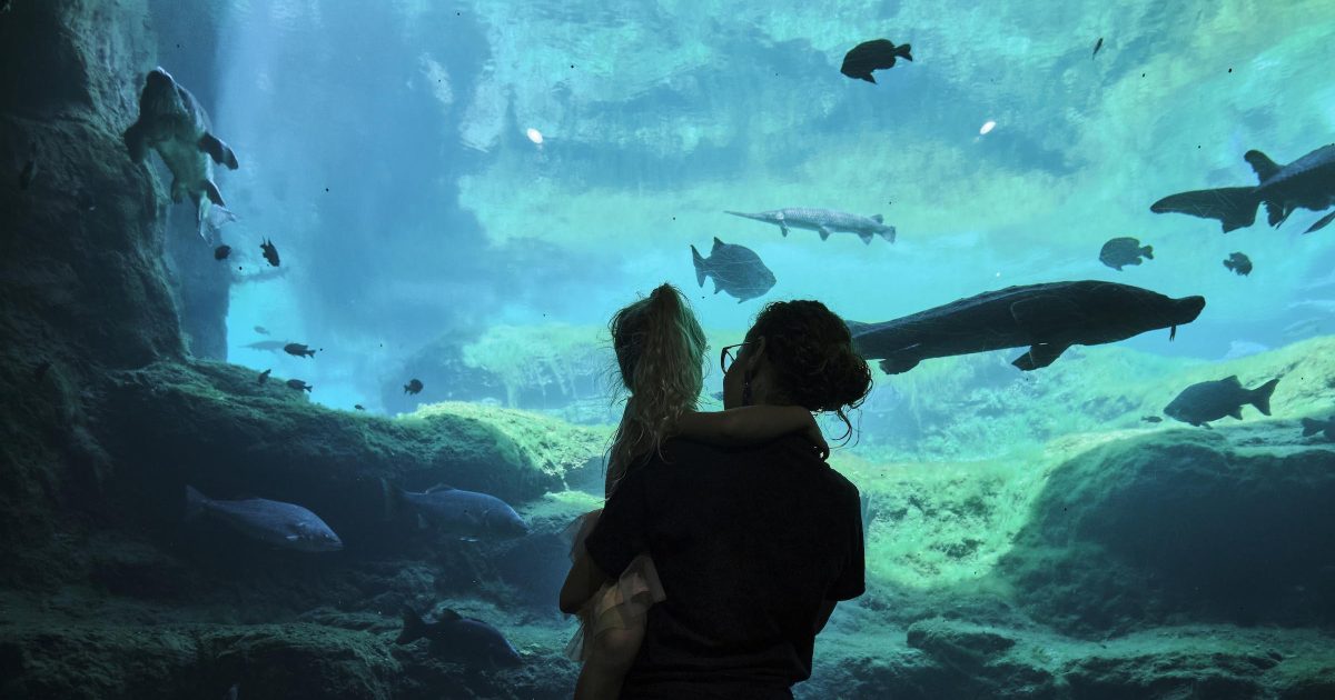 Albany, GA Attractions | Explore Exciting Things to Do | Visit Albany ...