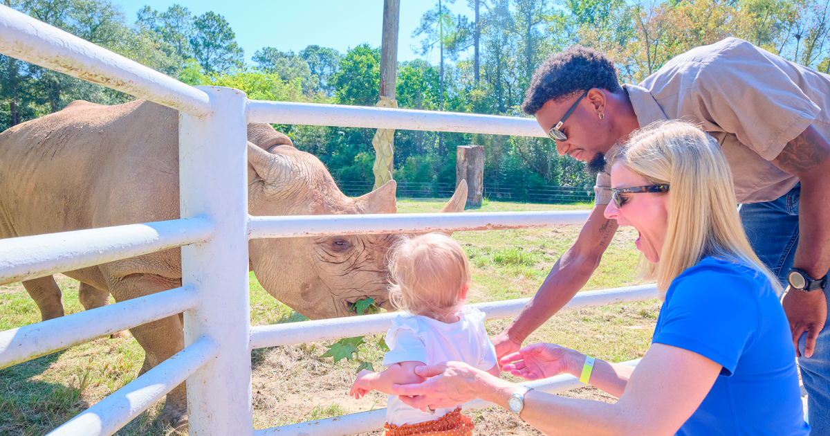 Chehaw Park & Zoo | Visit Albany, Georgia