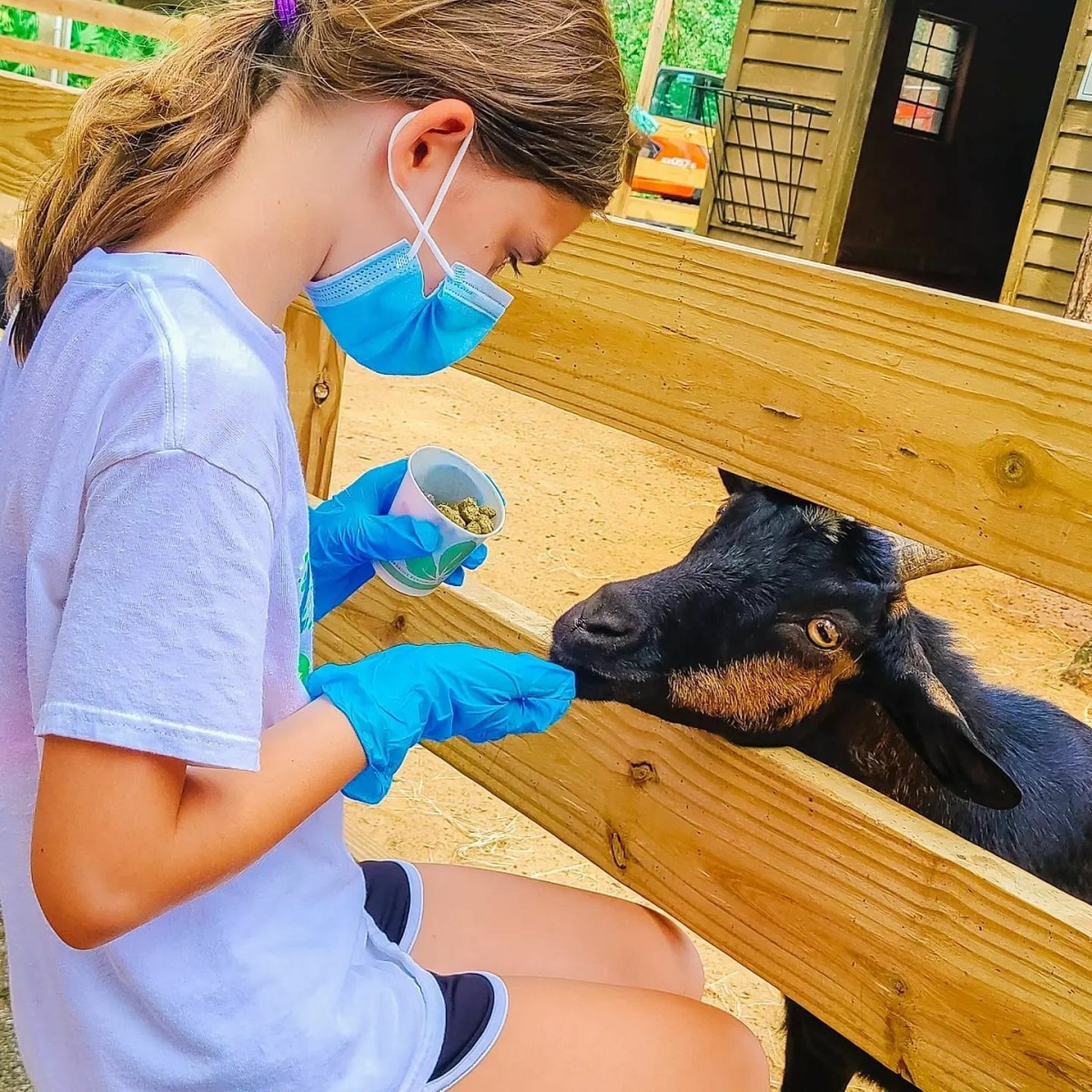 Visit Albany, GA | Discover Events, Attractions, and Activities